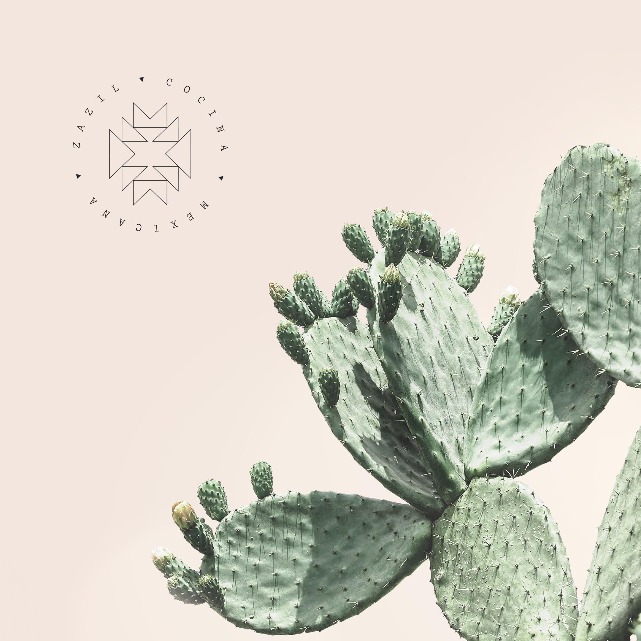 Zazil Cocina Mexicana - Pineapple